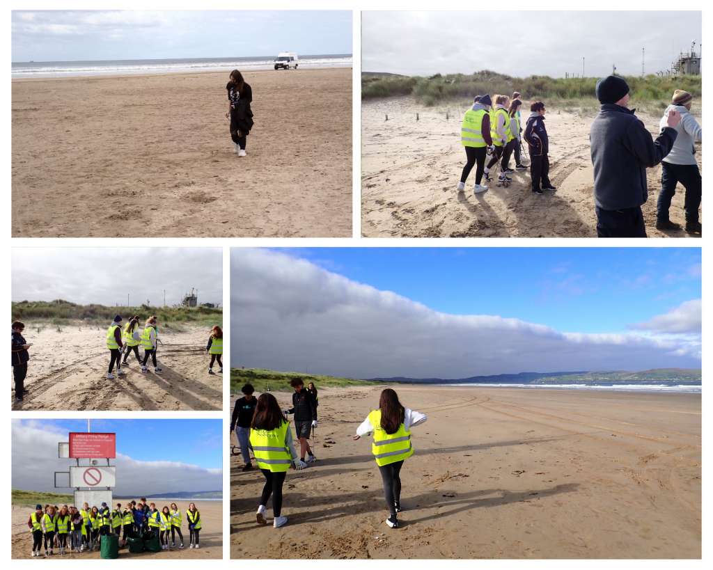 “I liked looking at the details on the seashells and seaweed. Picking ...