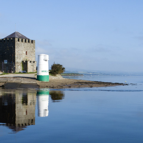 What We Do - Conservation